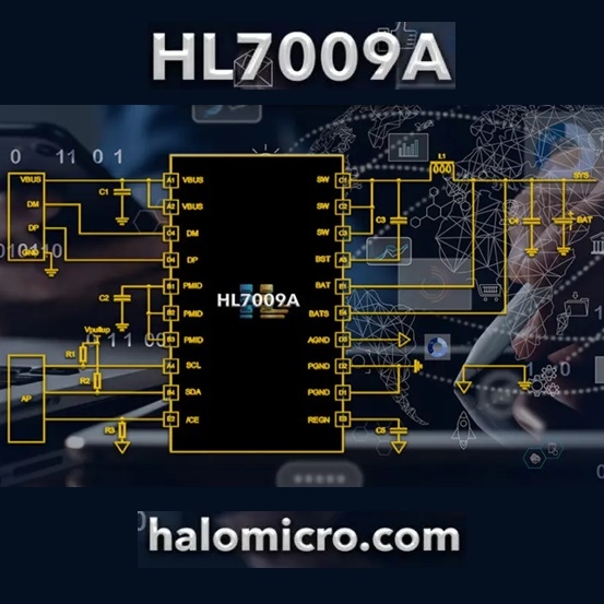 Halo Microelectronics - Profile on everything PE